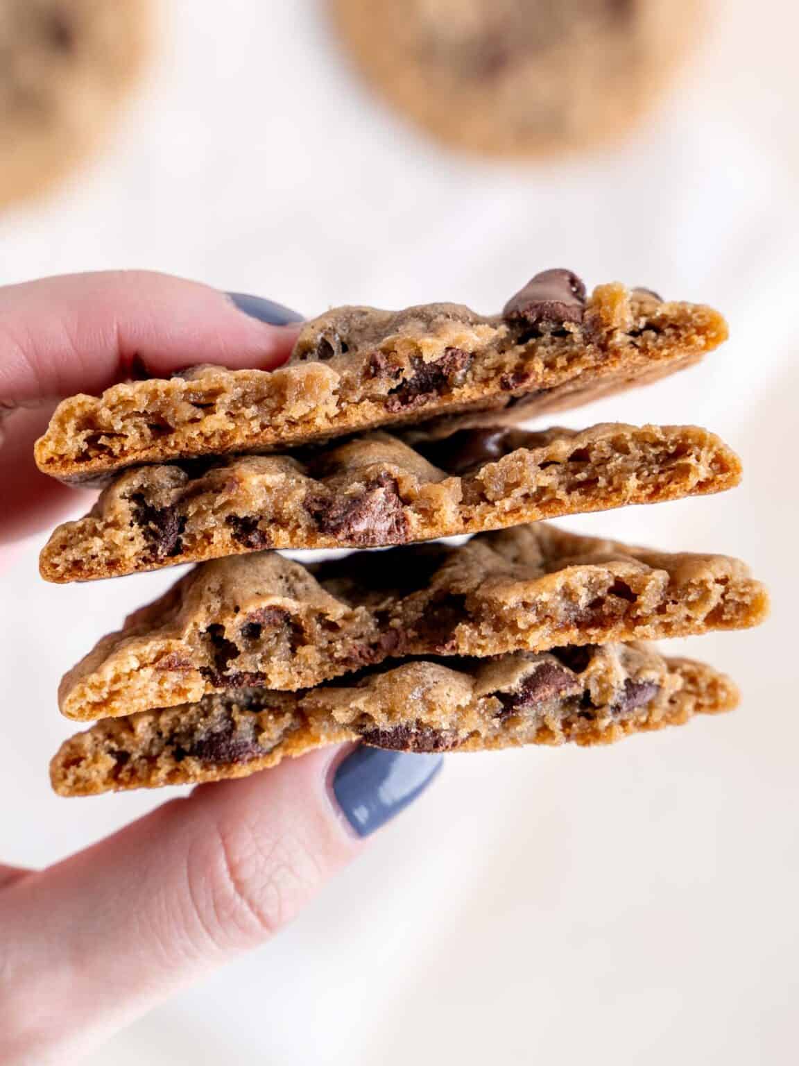 Sourdough Discard Chocolate Chip Cookies – Broken Oven Baking