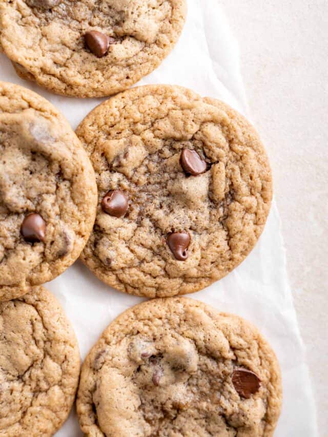 Sourdough Discard Chocolate Chip Cookies – Broken Oven Baking