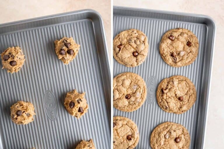 Sourdough Discard Chocolate Chip Cookies – Broken Oven Baking