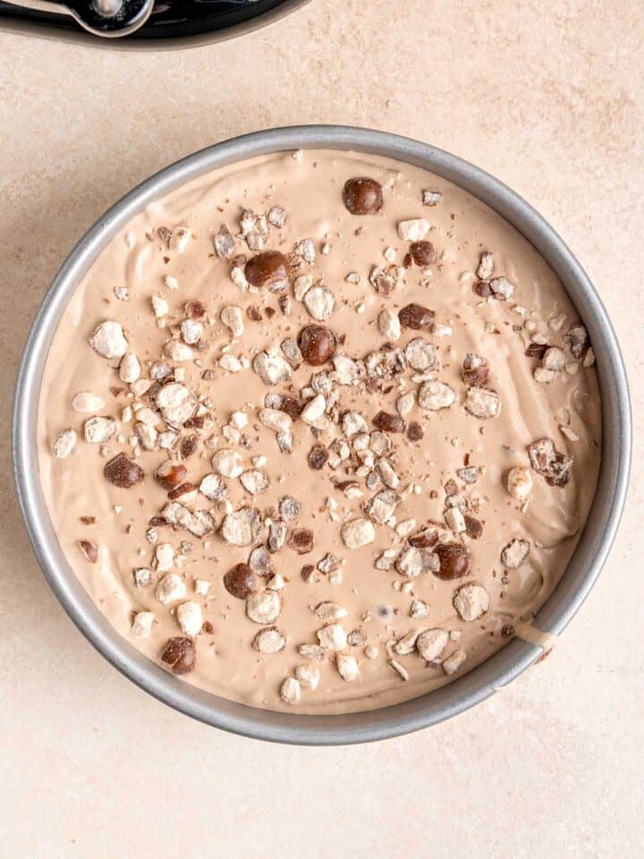 Chocolate Malted Crunch Ice Cream – Broken Oven Baking