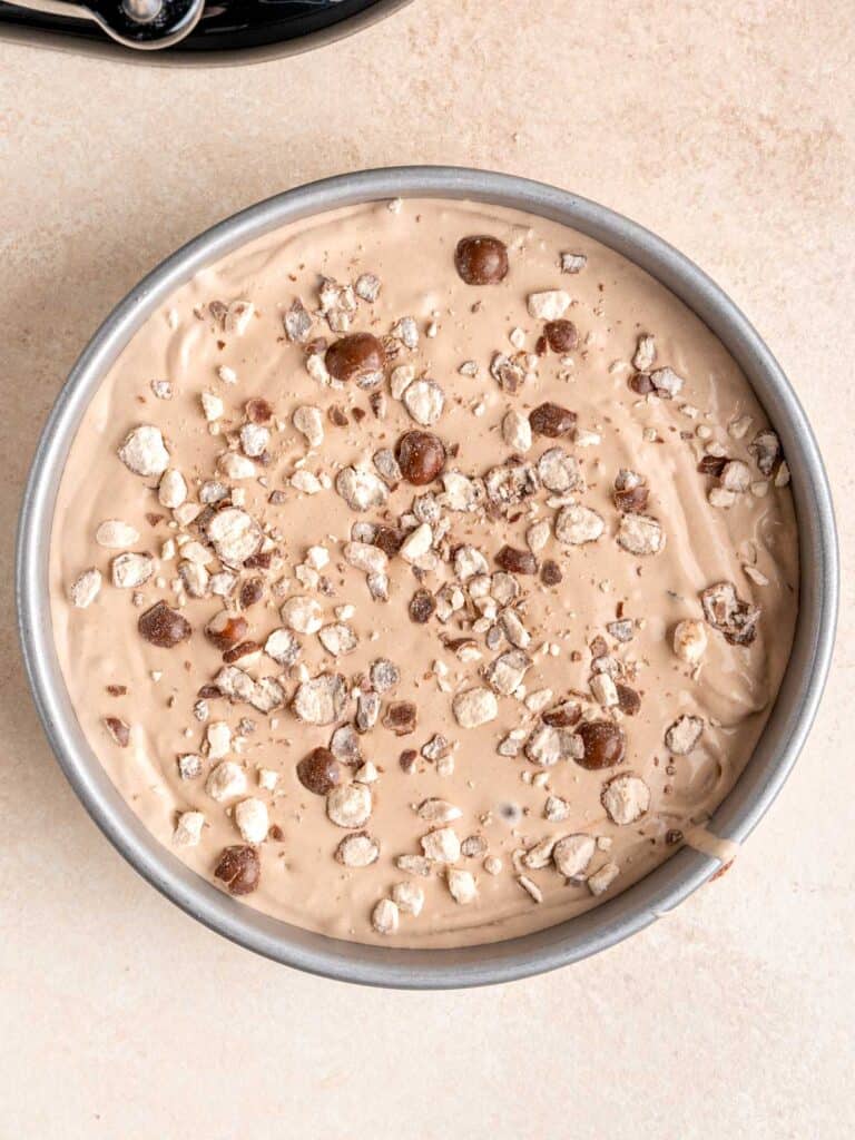 Chocolate Malted Crunch Ice Cream – Broken Oven Baking