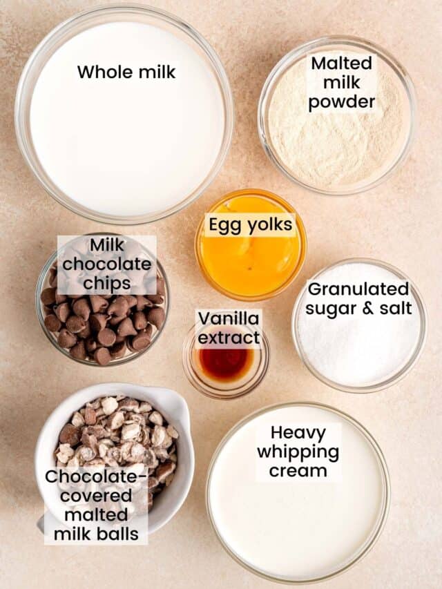 Chocolate Malted Crunch Ice Cream – Broken Oven Baking