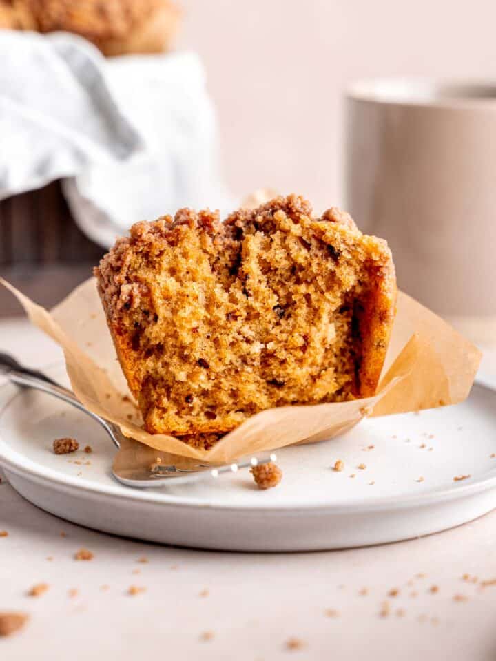 Cappuccino Muffins with Cocoa Streusel Topping – Broken Oven Baking