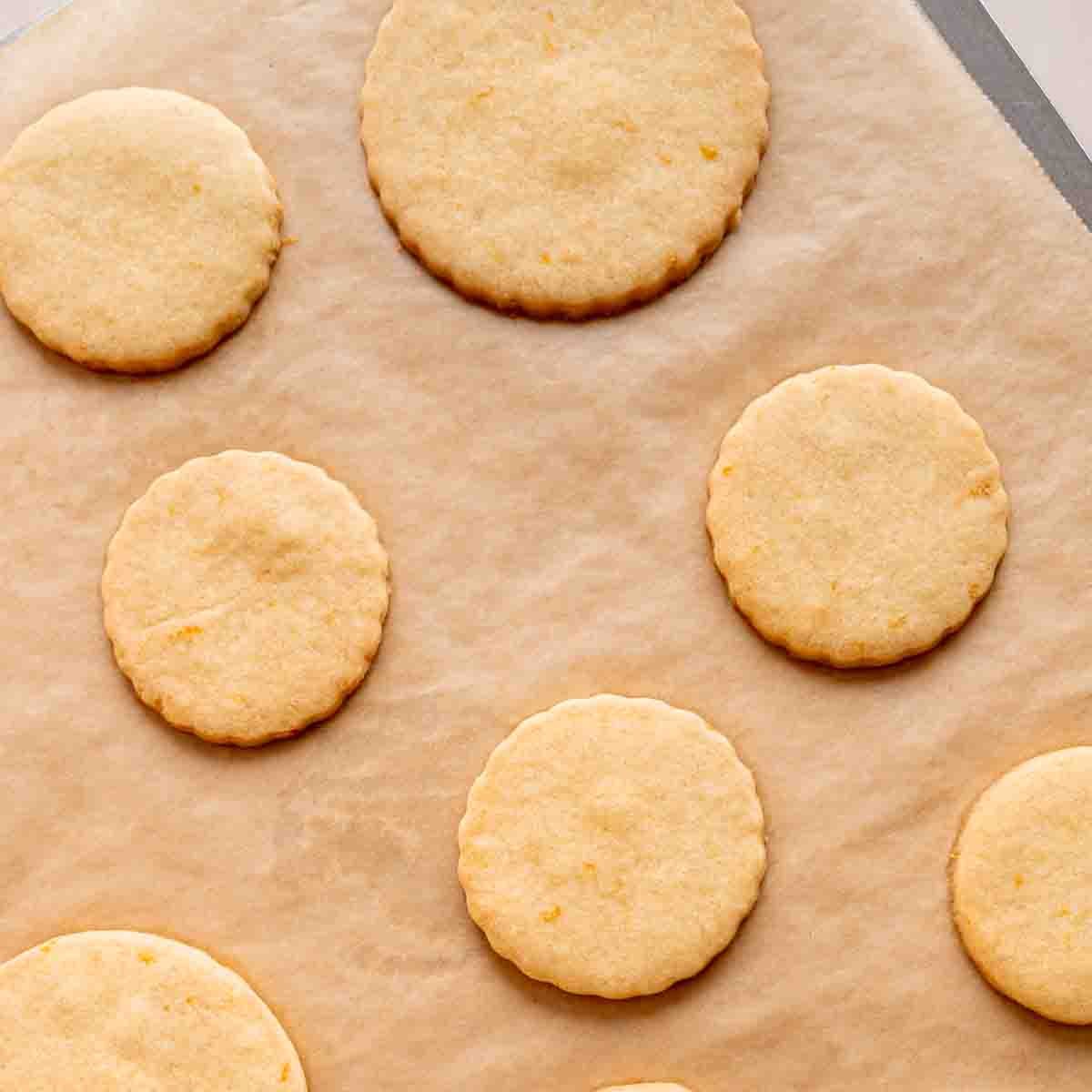 Honey Orange Shortbread Cut-Out Cookies (No-Chill) – Broken Oven Baking