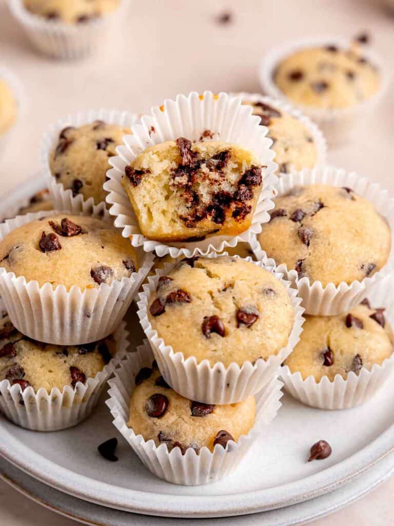 Easy Homemade Chocolate Chip Mini Muffins – Broken Oven Baking